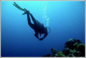 Explore Sulawesi: Your Wakatobi Travel Guide - Discover Your Indonesia