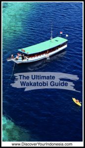 Explore Sulawesi: Your Wakatobi Travel Guide - Discover Your Indonesia