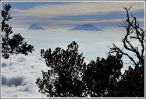 Gunung Lawu: A Guide to Climbing the Volcano - Discover Your Indonesia