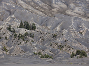 How to Arrange Your Bromo Tour (The Complete Guide)