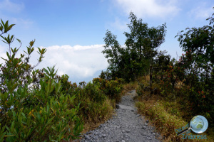 Hiking Mount Merapi: The Beauty of Fire Mountain