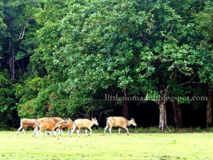 Weekend Getaway Ideas from Jakarta! - Discover Your Indonesia