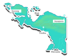 Introducing Papua: Your Travel Guide - Discover Your Indonesia