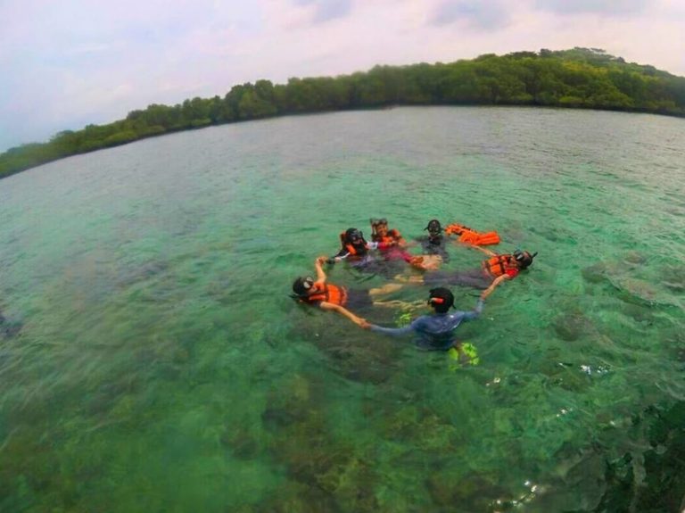 Menjangan Island: North Bali's Best Kept Secret - Discover Your Indonesia